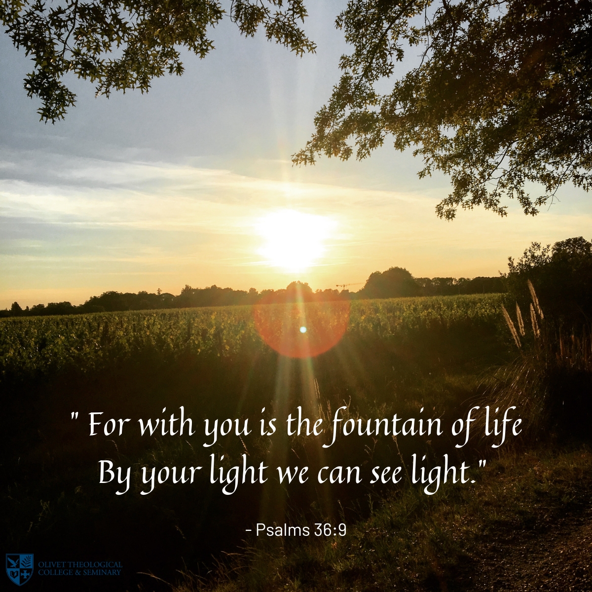 By your light we can see light – Psalms 36:9 - Bible Portal